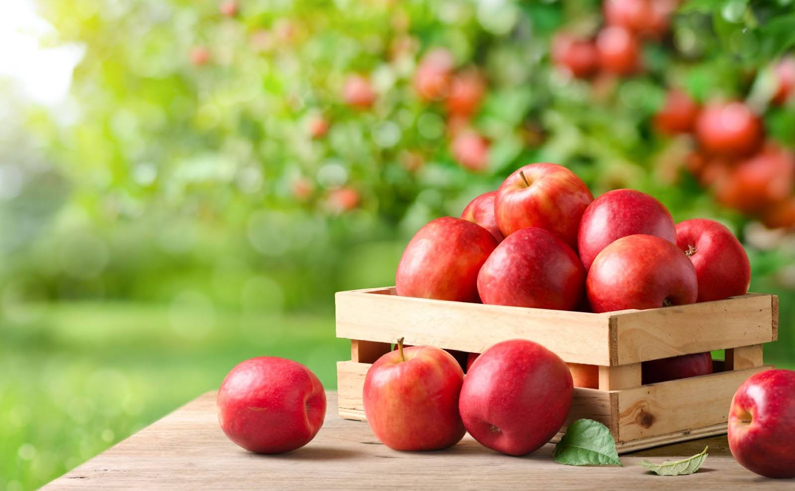 Boost Your Health: The Power of Apples - Senior Star